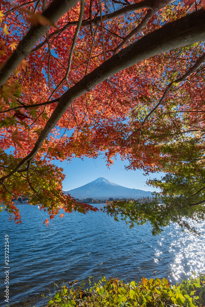 asia,autumn,autumn fuji,autumn japan,autumn tokyo,background,beautiful ...