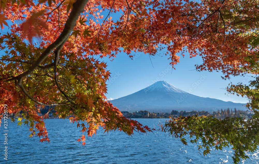 asia,autumn,autumn fuji,autumn japan,autumn tokyo,background,beautiful ...