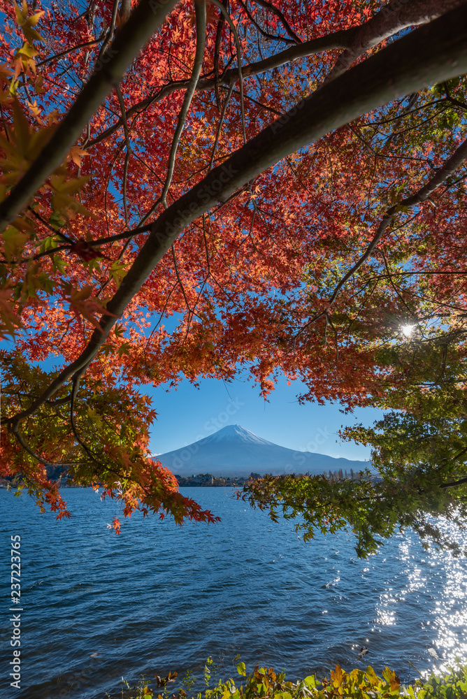 asia,autumn,autumn fuji,autumn japan,autumn tokyo,background,beautiful ...
