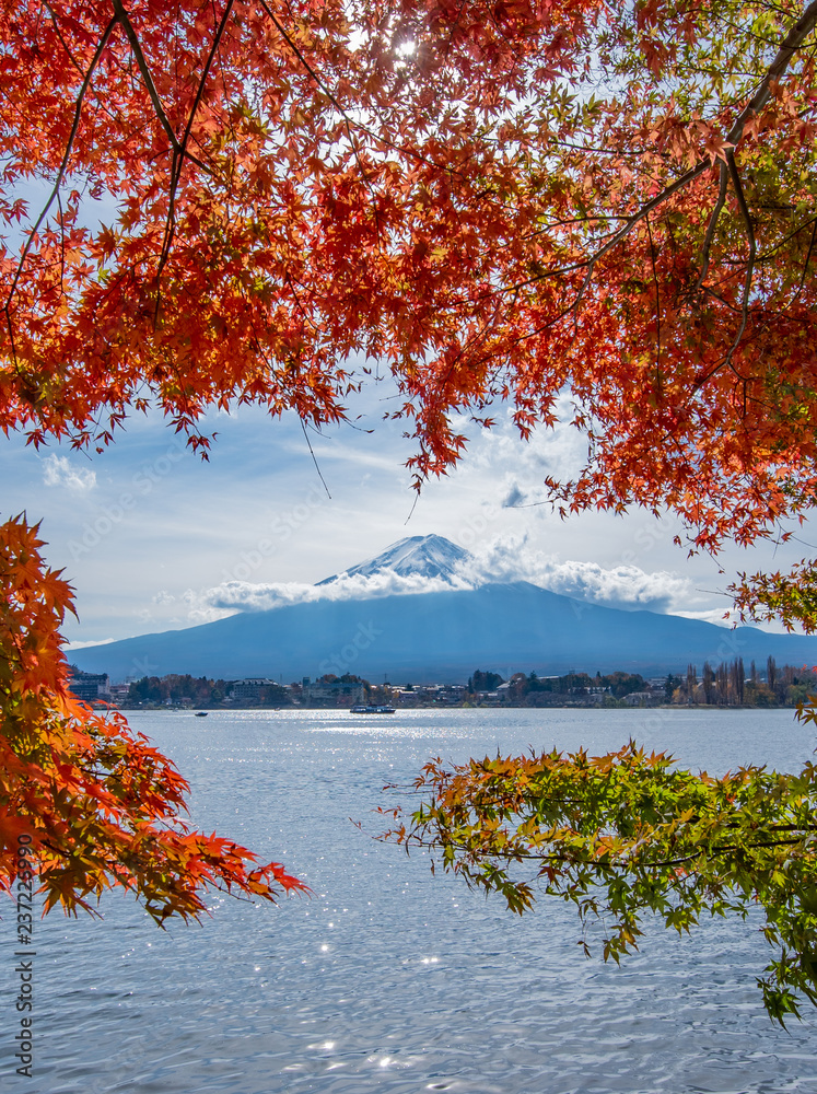 asia,autumn,autumn fuji,autumn japan,autumn tokyo,background,beautiful ...