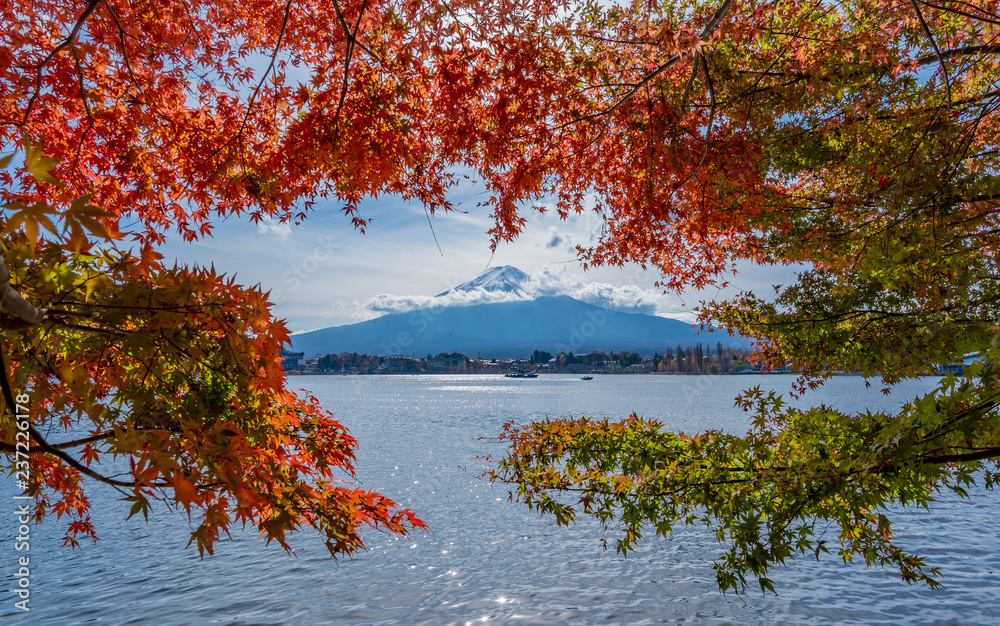 asia,autumn,autumn fuji,autumn japan,autumn tokyo,background,beautiful ...