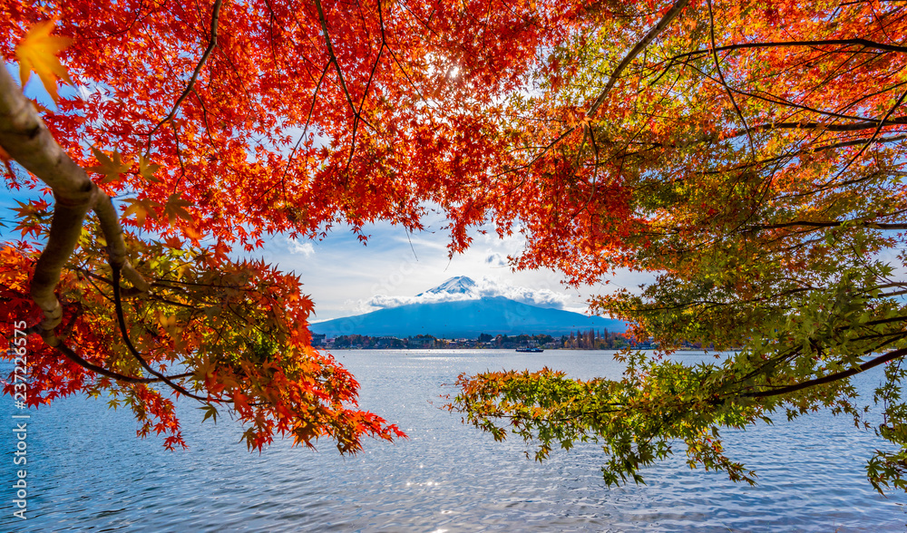 asia,autumn,autumn fuji,autumn japan,autumn tokyo,background,beautiful ...