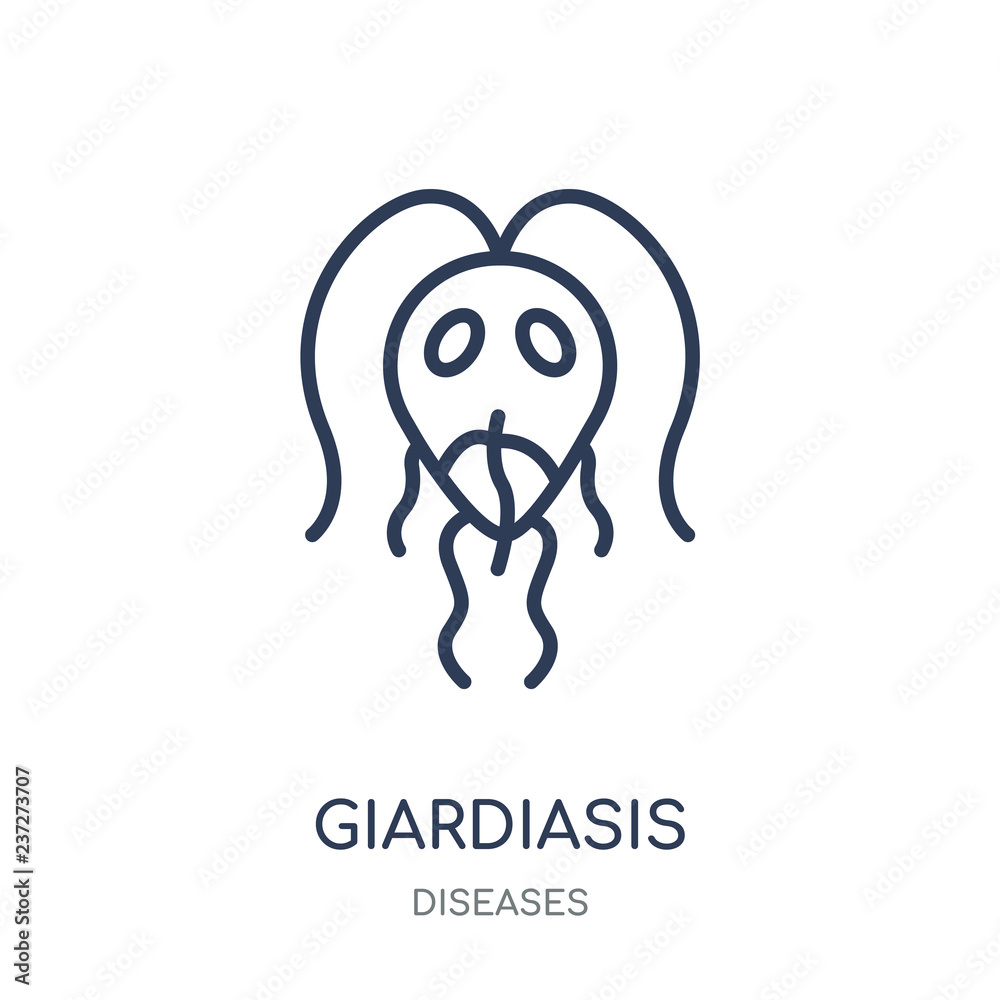 Giardiasis Symptoms Giardia in Dogs, What are the Symptoms and Treatment?