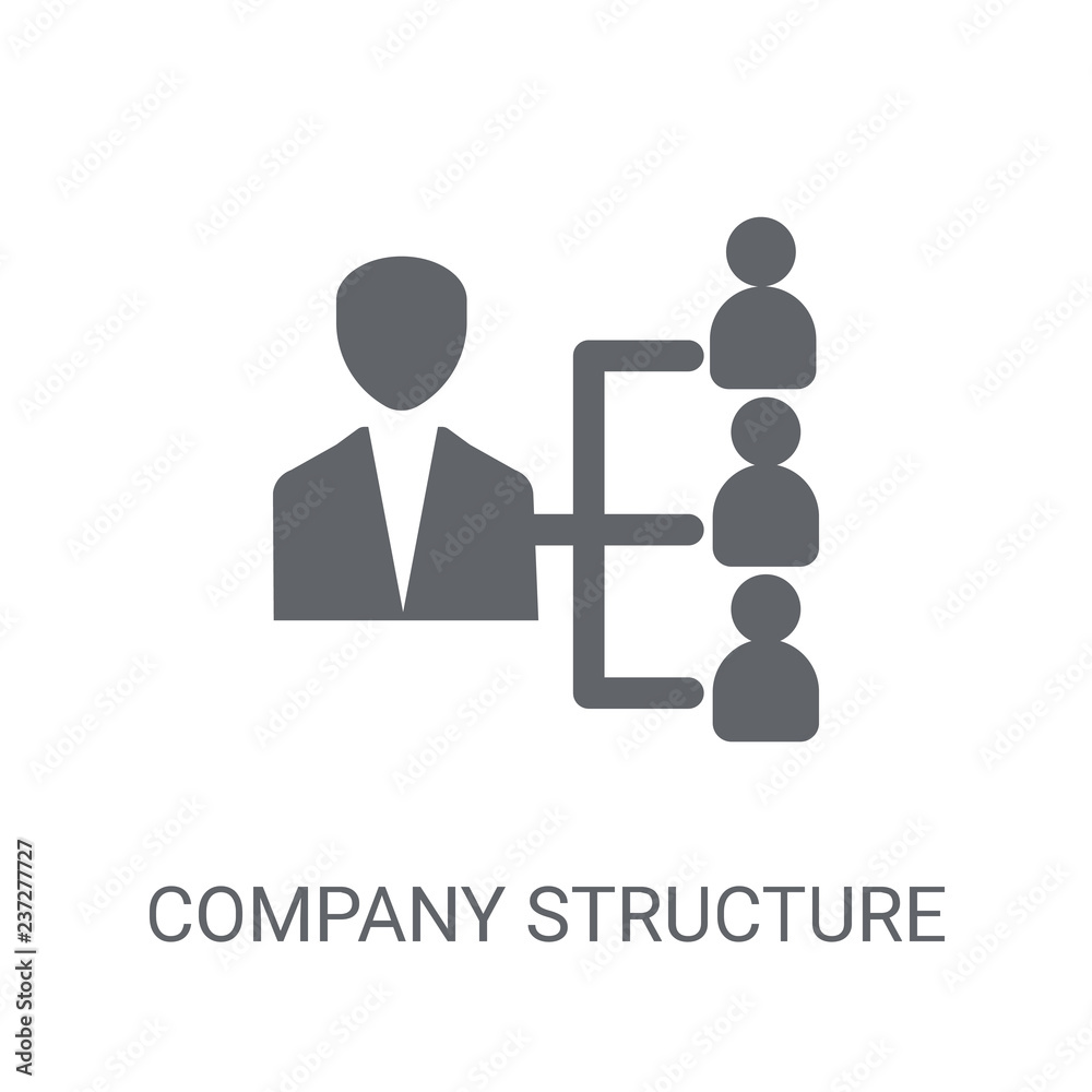 company Structure icon. Trendy company Structure logo concept on white ...