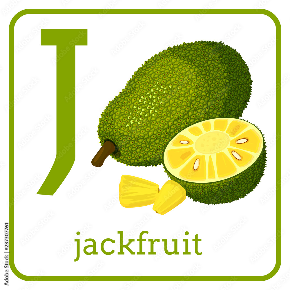 An alphabet with cute fruits, Letter J jackfruit Stock Vector | Adobe Stock