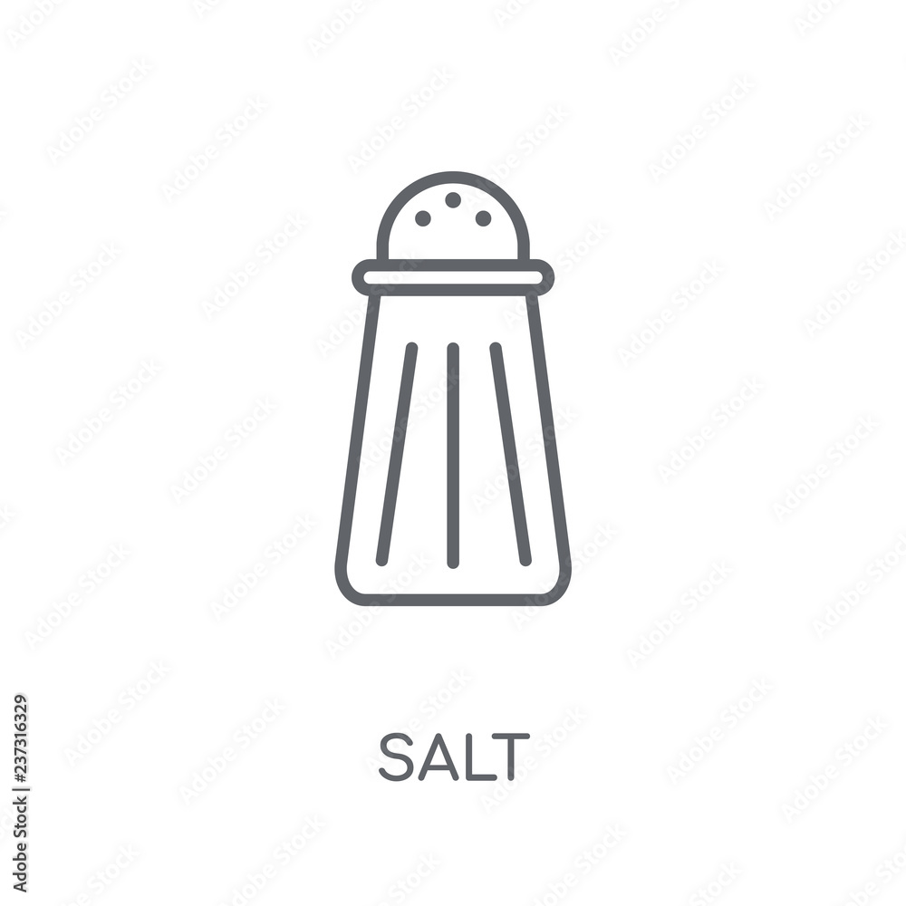 Salt Logo