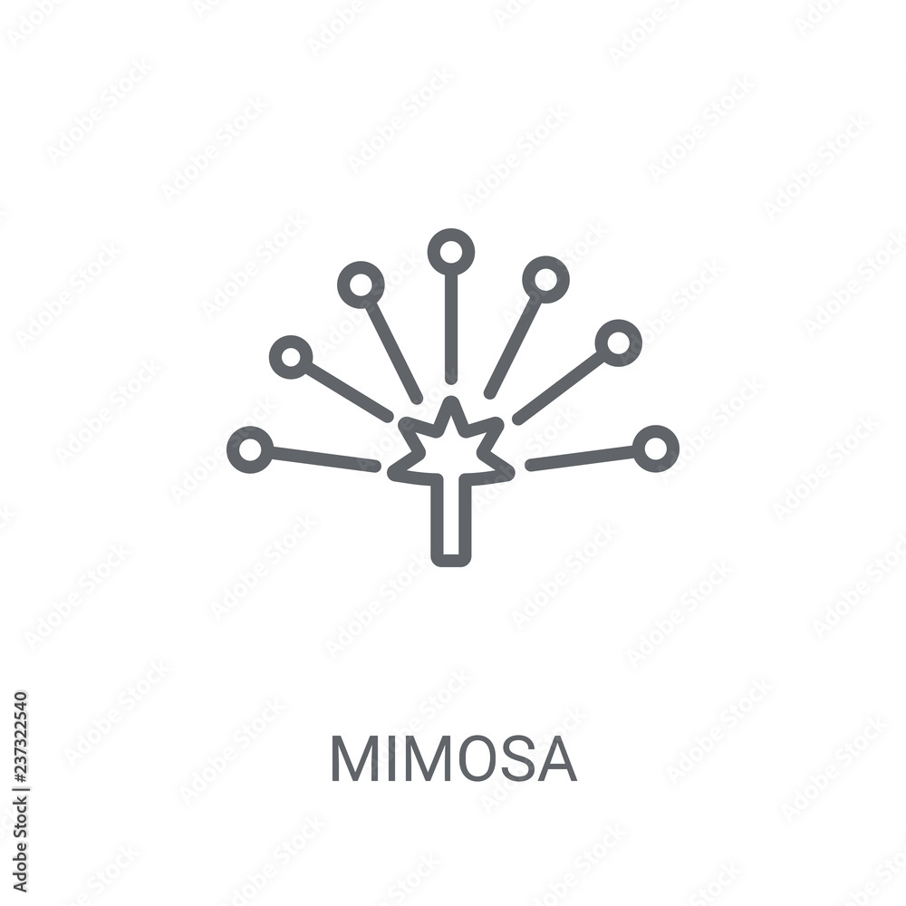 Mimosa icon. Trendy Mimosa logo concept on white background from Nature ...