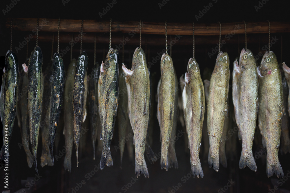 Trout fish hanged in traditional oven Stock Photo | Adobe Stock