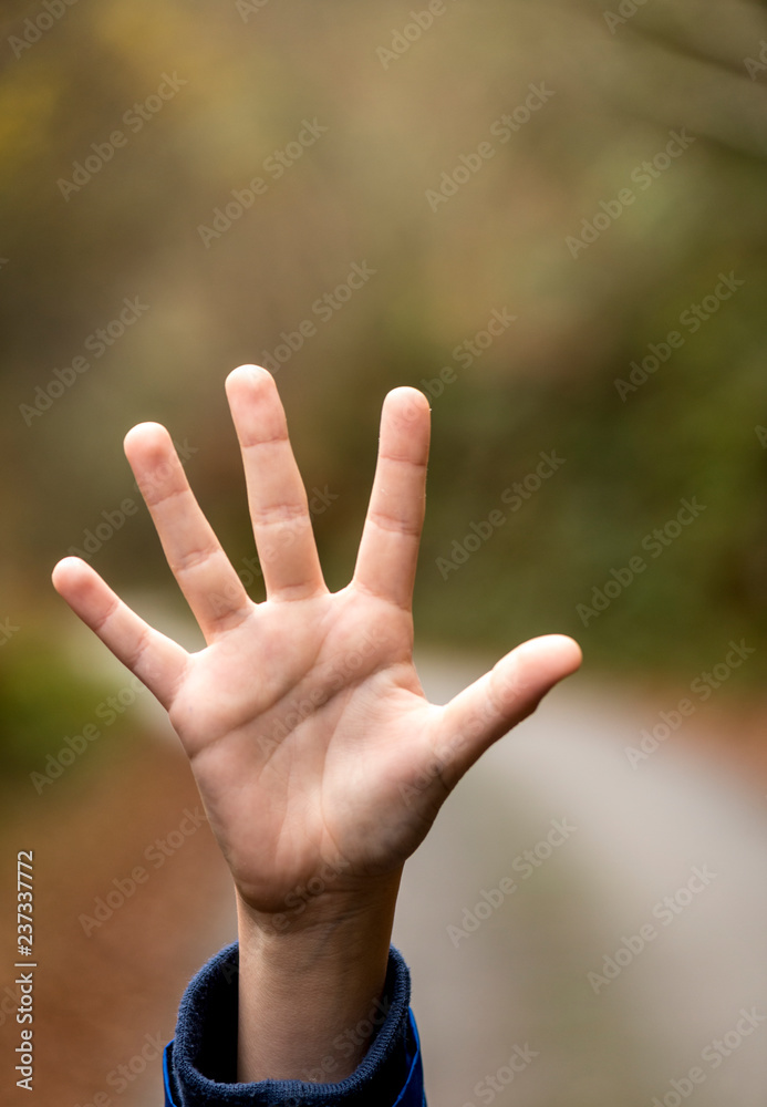 mano con cinco dedos indicando cantidad dedos marcas foto de Stock ...