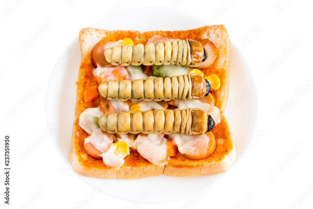 Food Insects: Worm beetle for deep-fried insects as food items. Bread ...