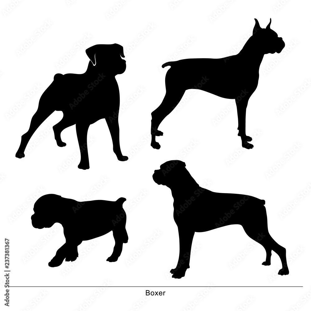 Boxer breed dog. Vector silhouette of the dog Stock Vector | Adobe Stock
