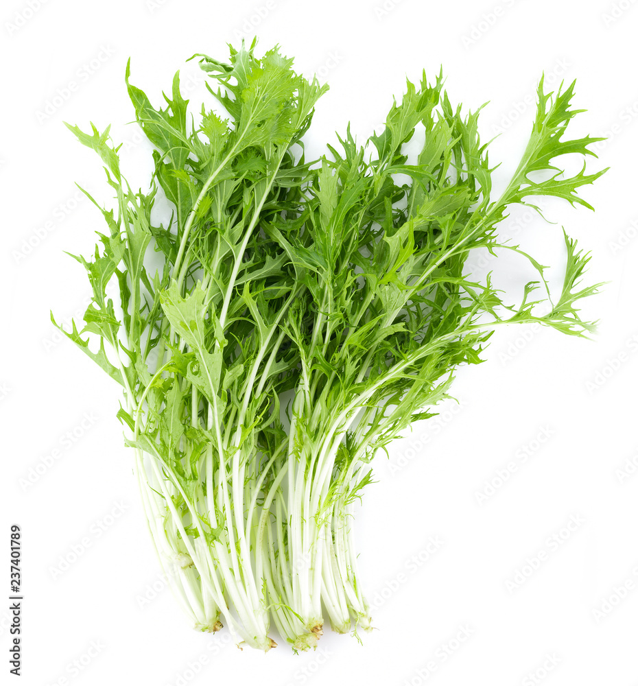 Mizuna Lettuce