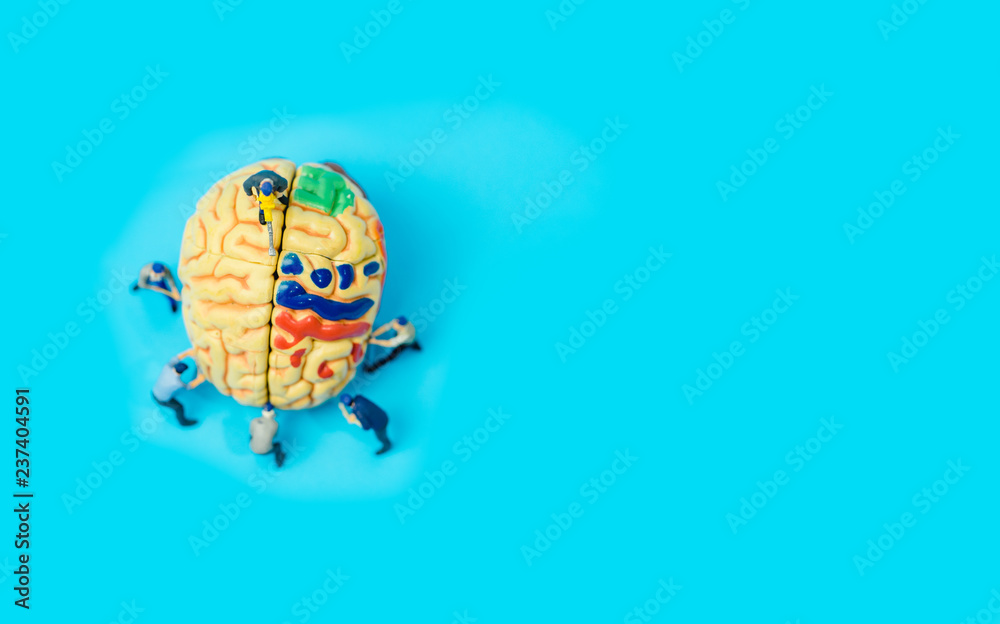 Miniature people :Miniature model with Human senior brain model on blue ...