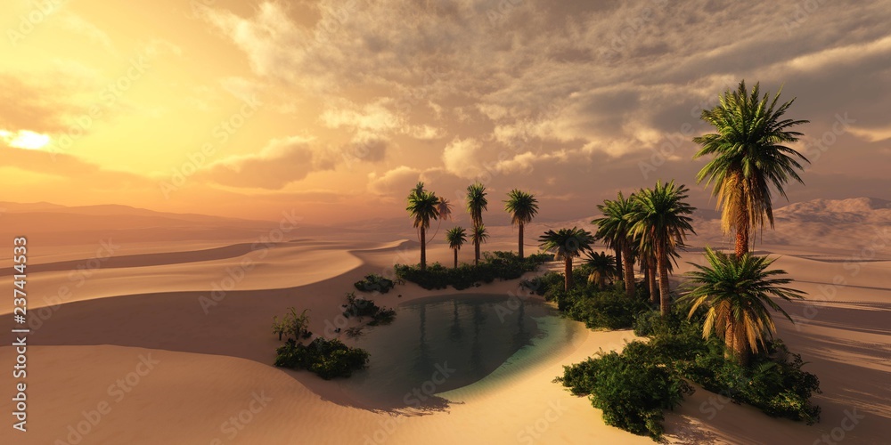 Arabian Desert Oasis Sunset