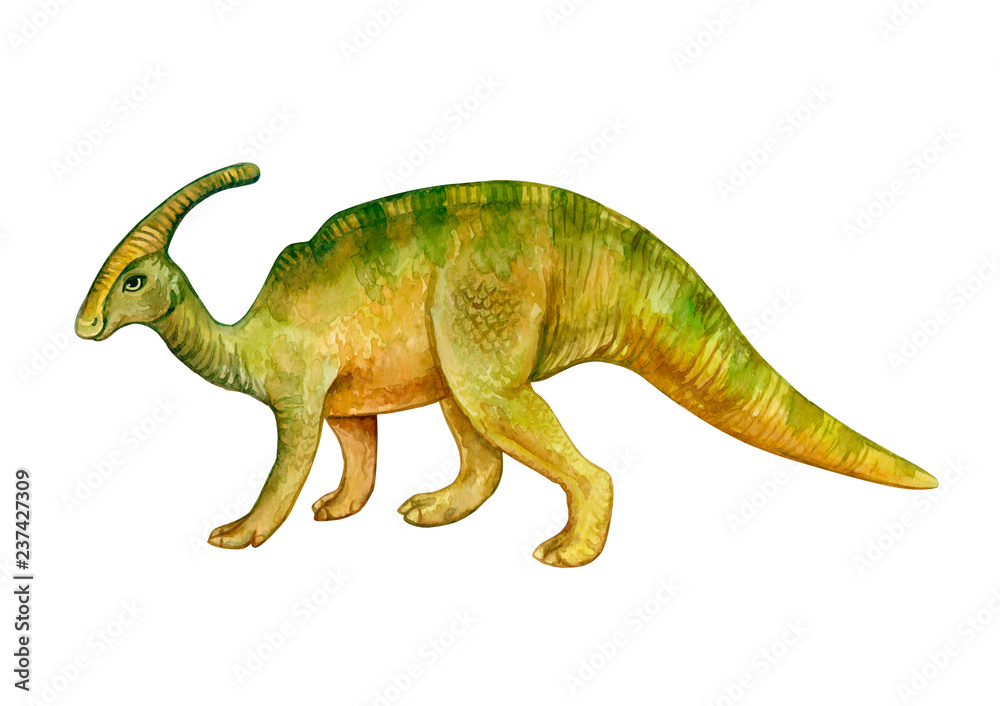 Parasaurolophus dinosaur. Hand painted dinosaurs isolated on white ...