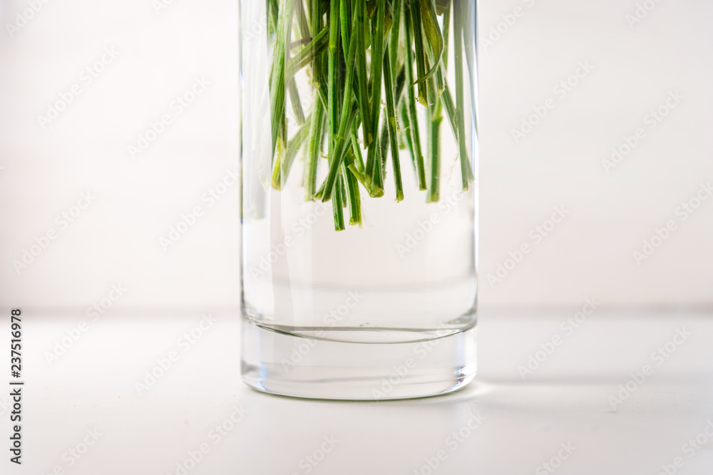 Green stems of flowers in a glass vase with water on a white background ...