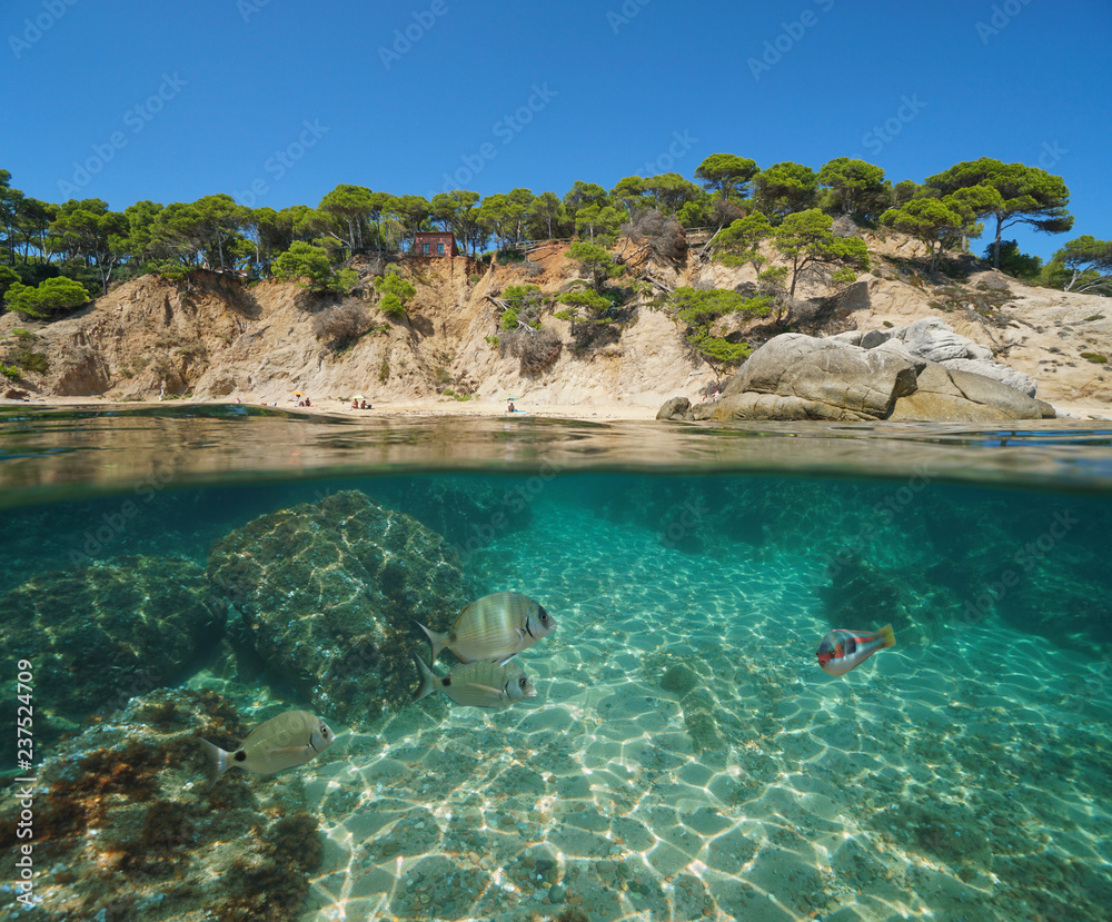 Spain Mediterranean coast with fish, sand and rocks underwater sea ...