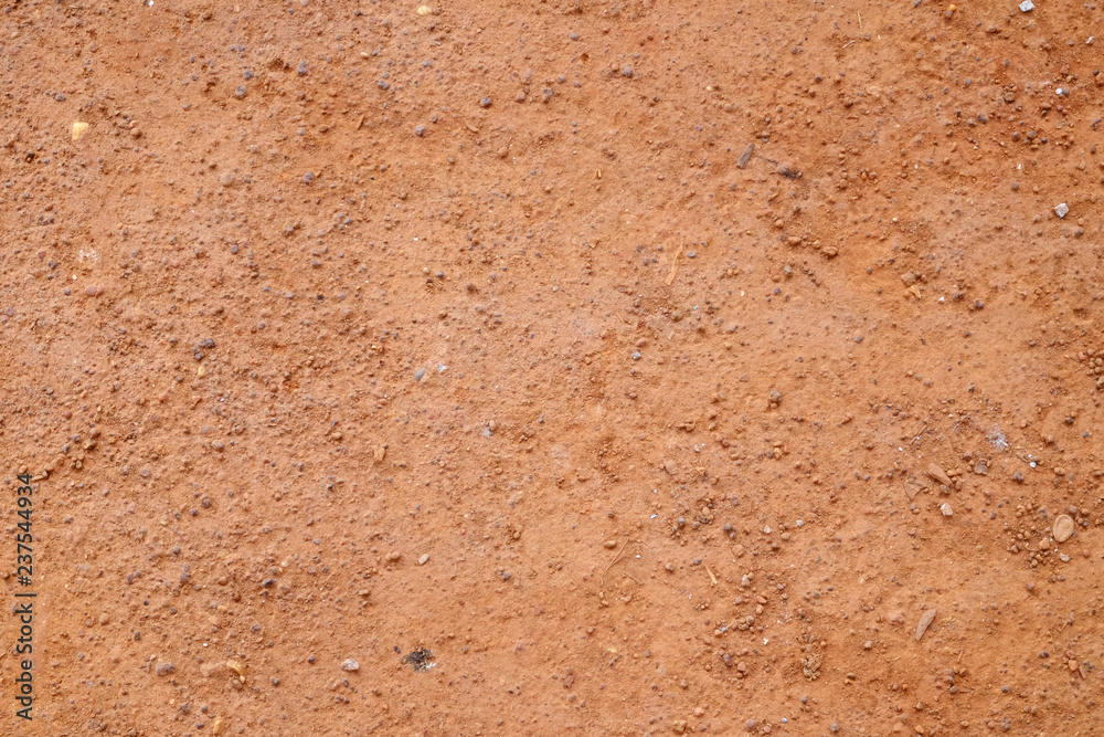 Dirt Path Texture