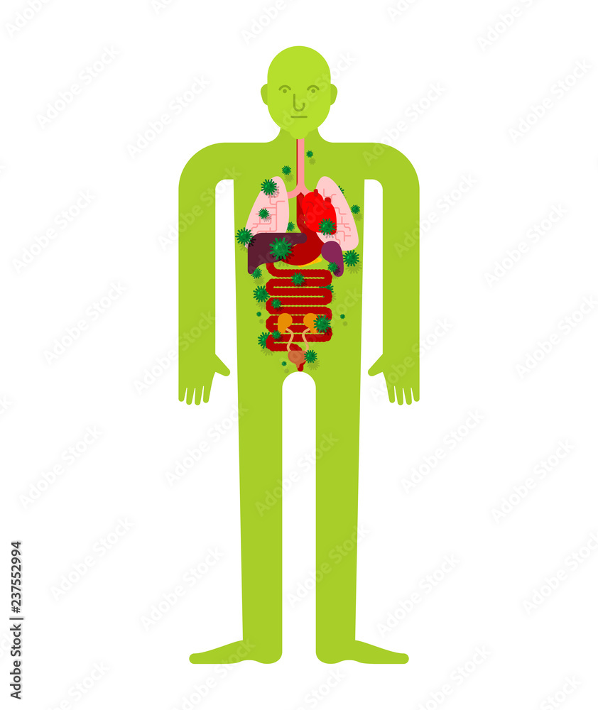 Sick internal organ Anatomy of human disease. Heart and Lungs. Liver ...