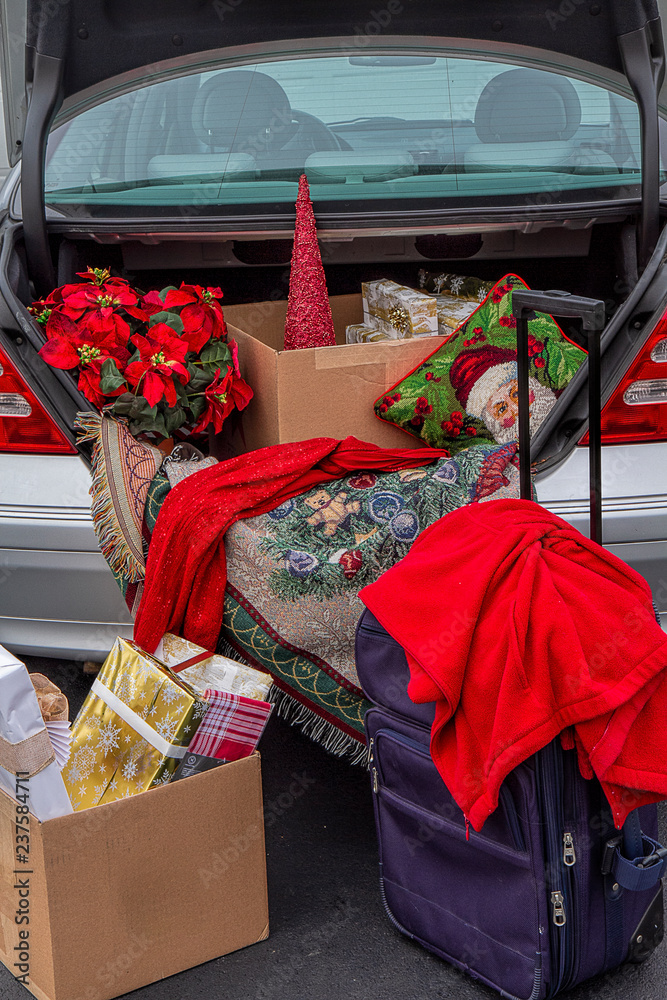Packing Luggage In Car