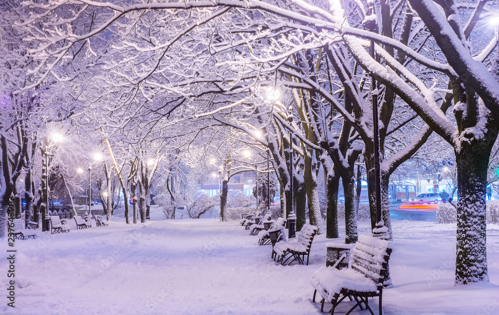 Amazing winter night landscape of snow covered bench among snowy trees ...