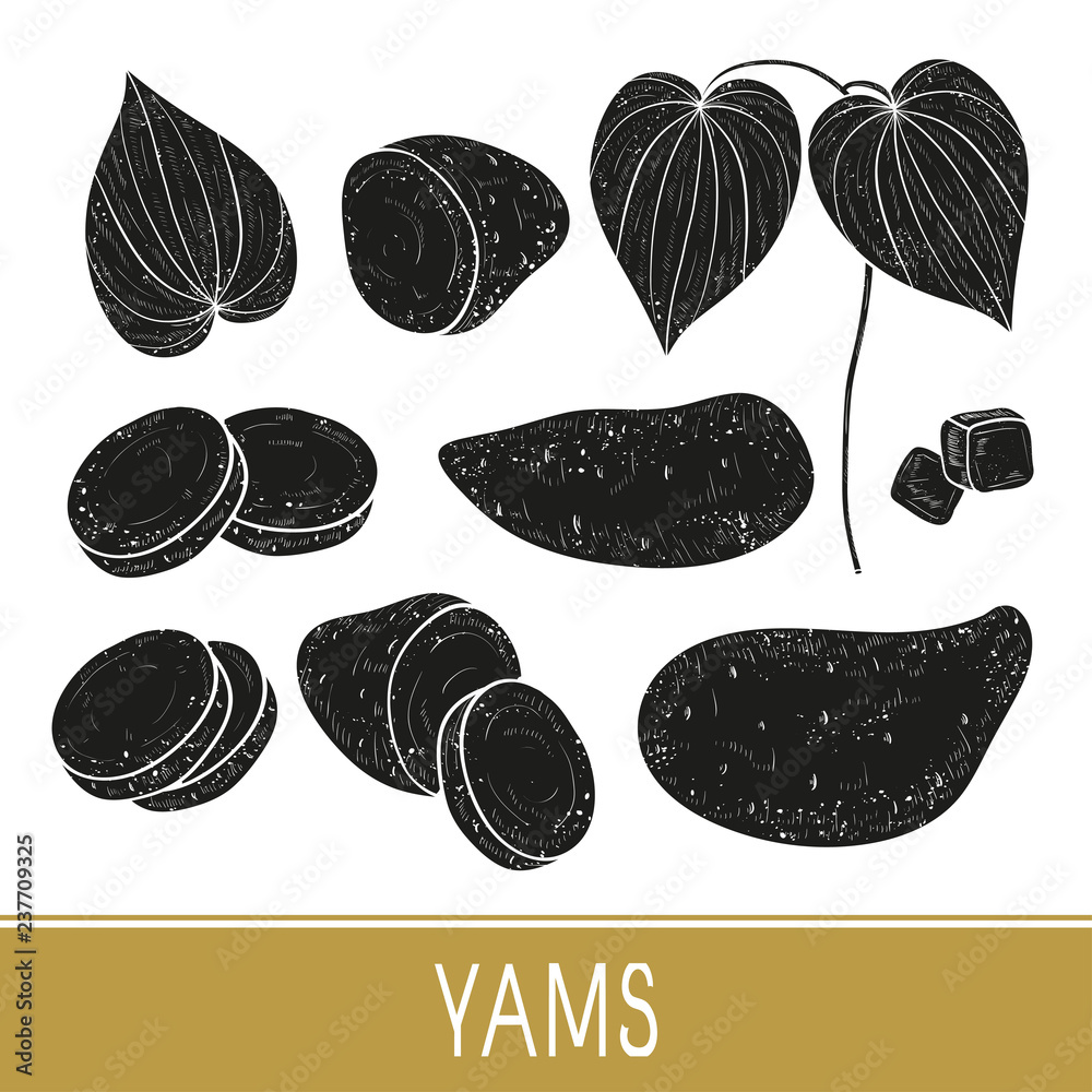 Yams. Tuber, sheet. Vegetable. Set. Black silhouette on white ...