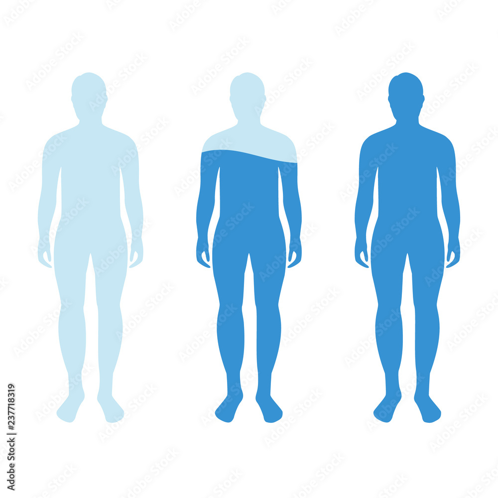 Infographic showing water percentage level in human body. Vector ...