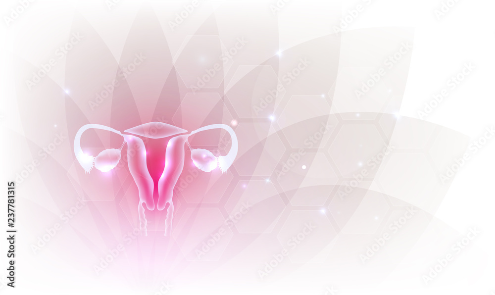Female reproductive organs beautiful artistic design, transparent ...