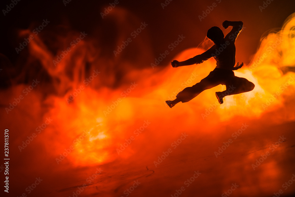 Karate athletes on the background of the Japanese flag.Character karate ...