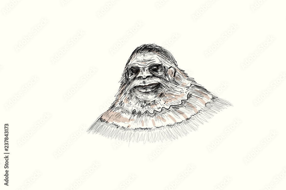 Sasquatch Face Illustration