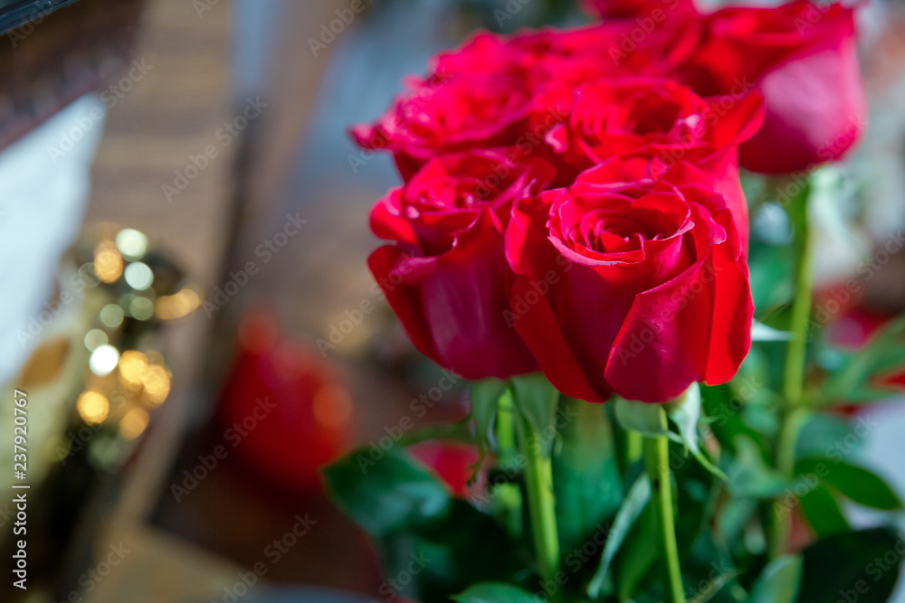 Most Beautiful Red Roses Wallpapers