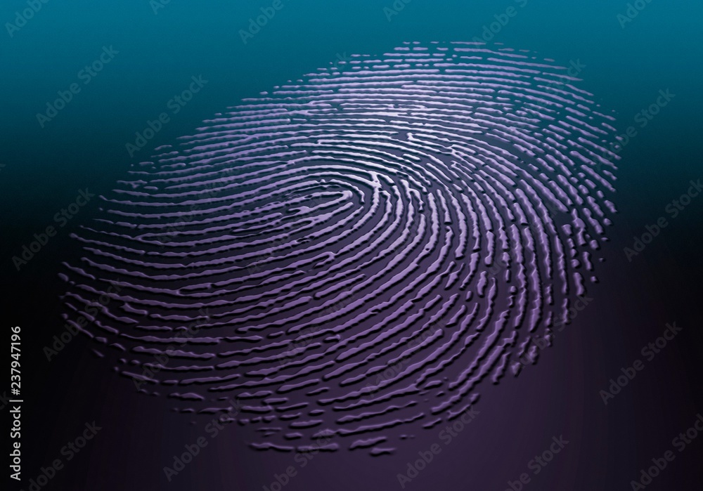 Human fingerprint, illustration Stock Photo | Adobe Stock