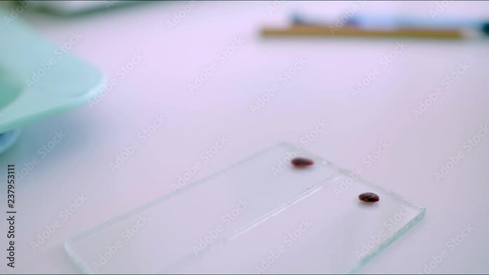 Human blood and dna laboratory, genetic laboratory, stem cells ...