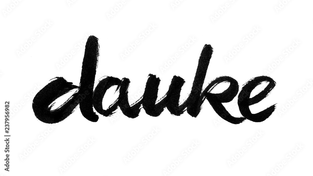 Danke Hand Schriftzug Script Text Pinselstrich Brush Handlettering ...