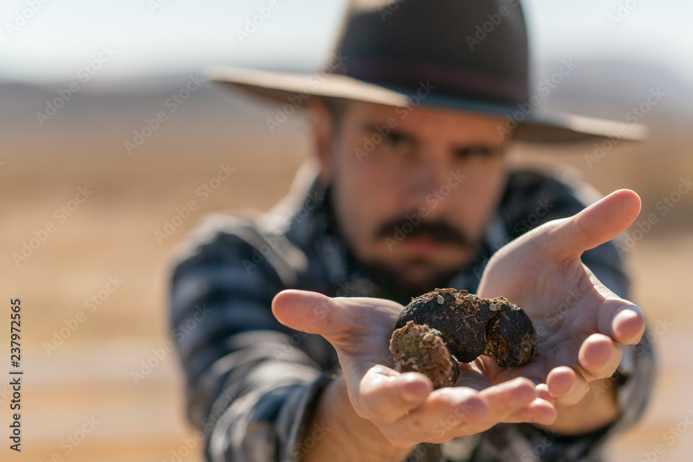 Cowboy with grey hat, moustache and checkerboard shirt holding horse ...