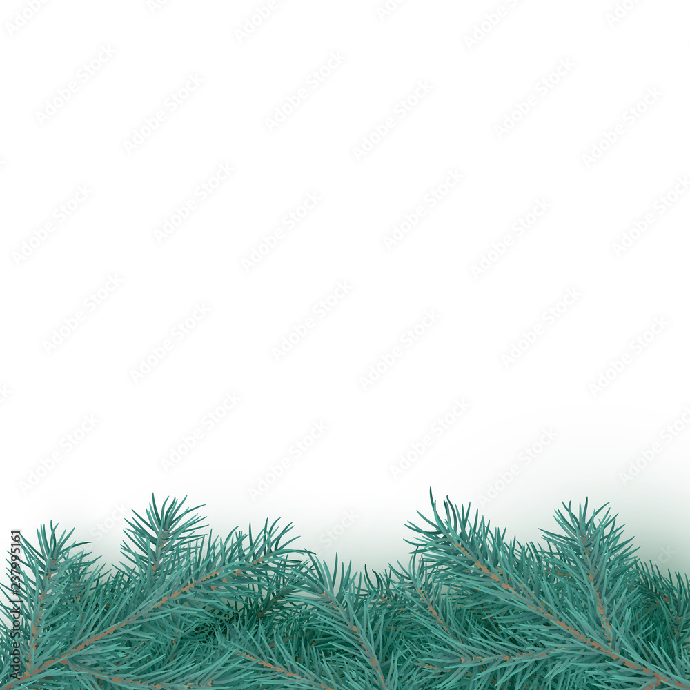 Fir tree realistic border background. Christmas tree brancher texture ...