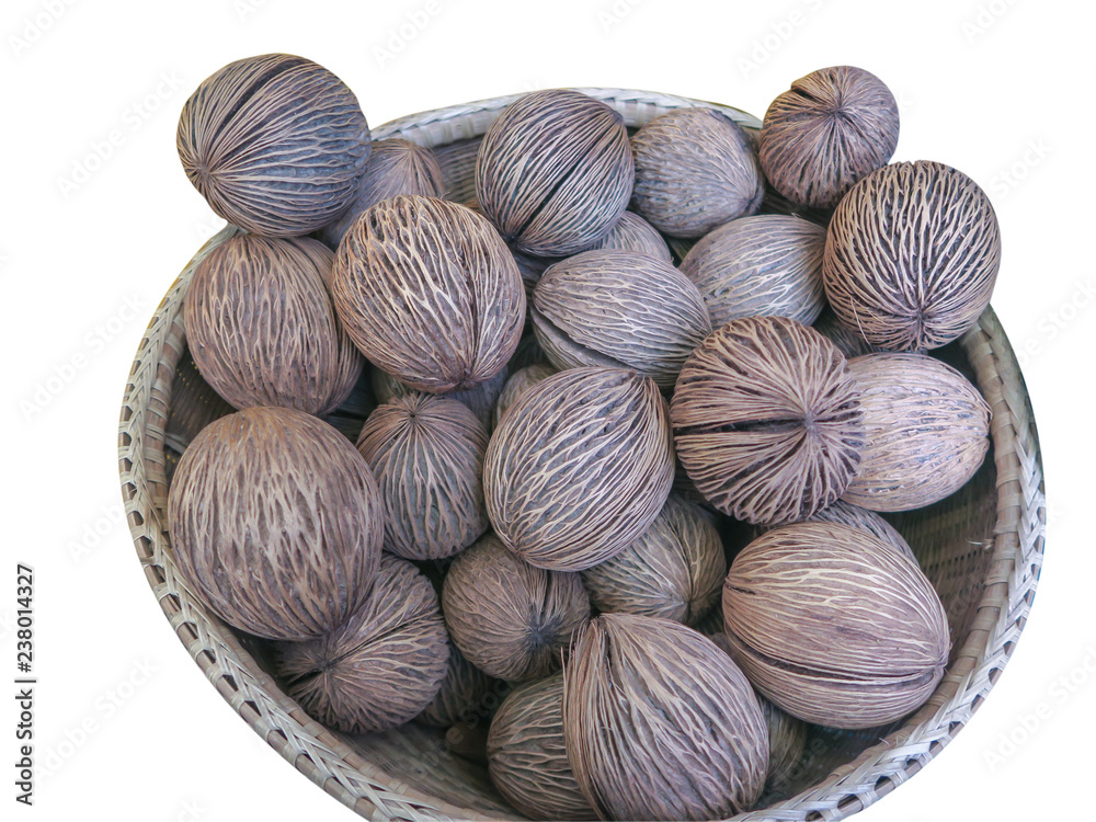 Dried Pong Pong seed on isolate white background with clipping path ...