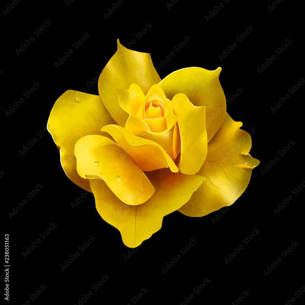 Yellow Roses With Water Drops