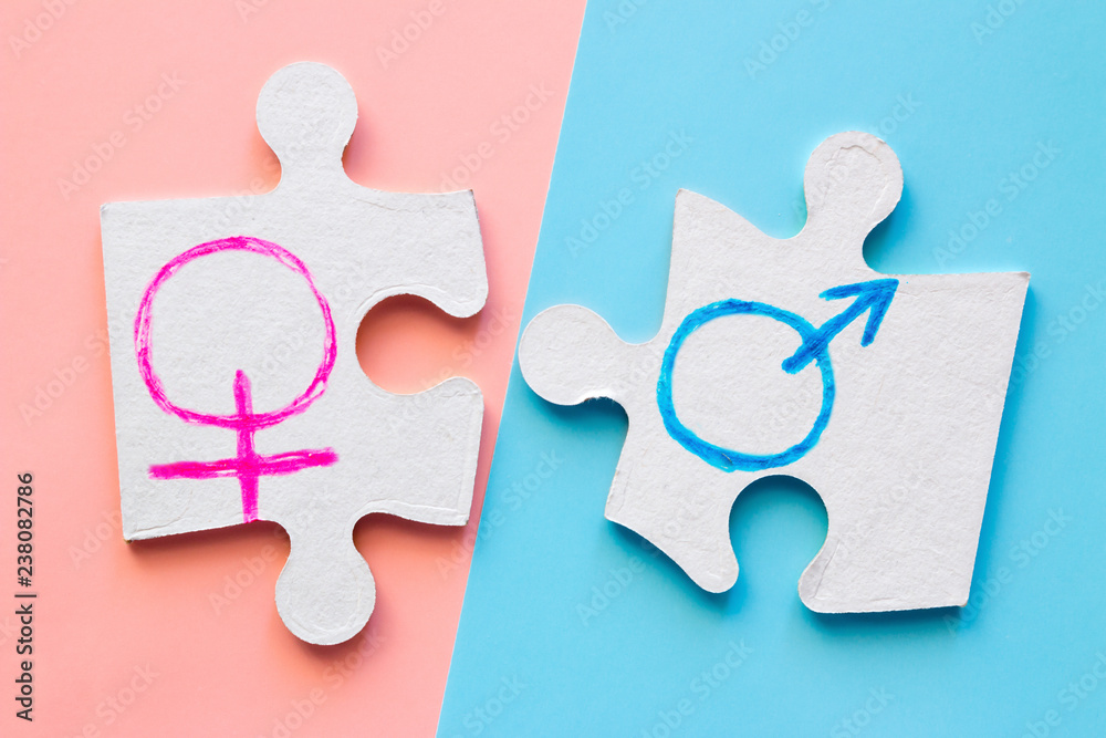 puzzle pieces with male and female gender symbols on the pink and blue ...