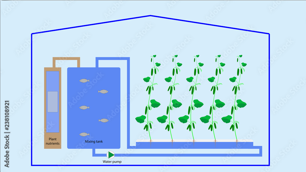Illustration showing the schematic diagram of the hydroponics system ...