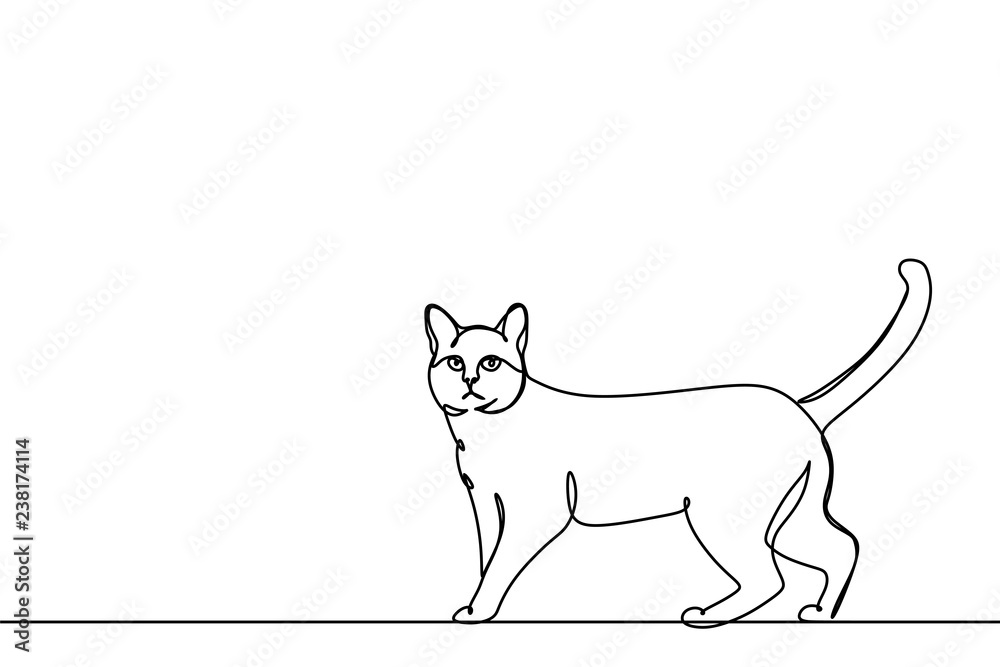 Cat continuous line drawing vector illustration isolated on white ...