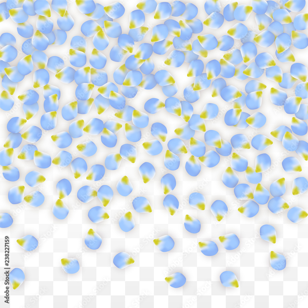 Vector Realistic Blue Petals Falling on Transparent Background. Spring ...