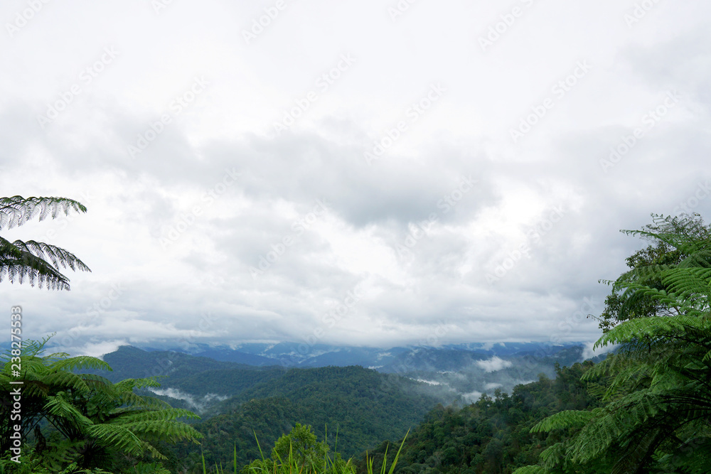 Tropical mountain range view. View of Moving Clouds And Fog over ...