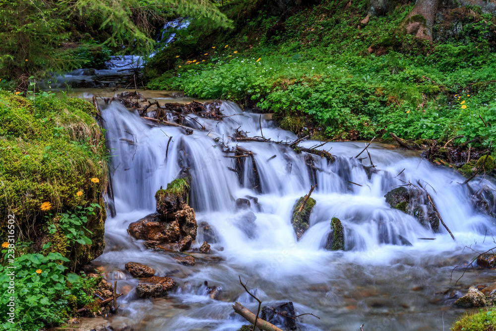 Water Spring Scenery