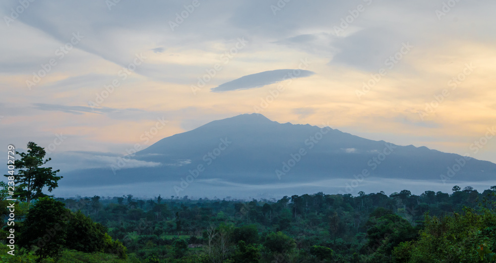 Scenic view of Mount Cameroon mountain with green forest during sunset ...