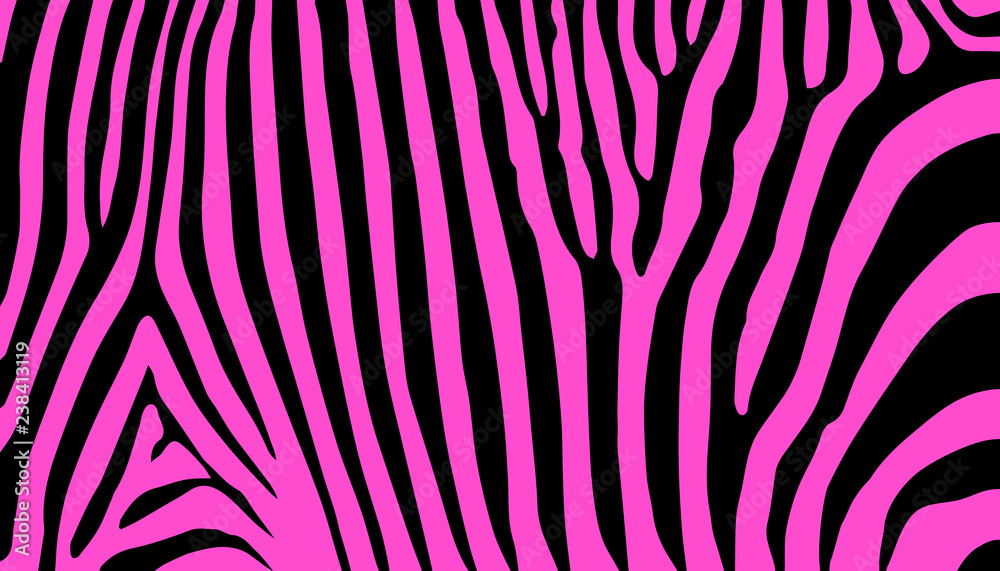 Pink And Black Zebra Wallpaper