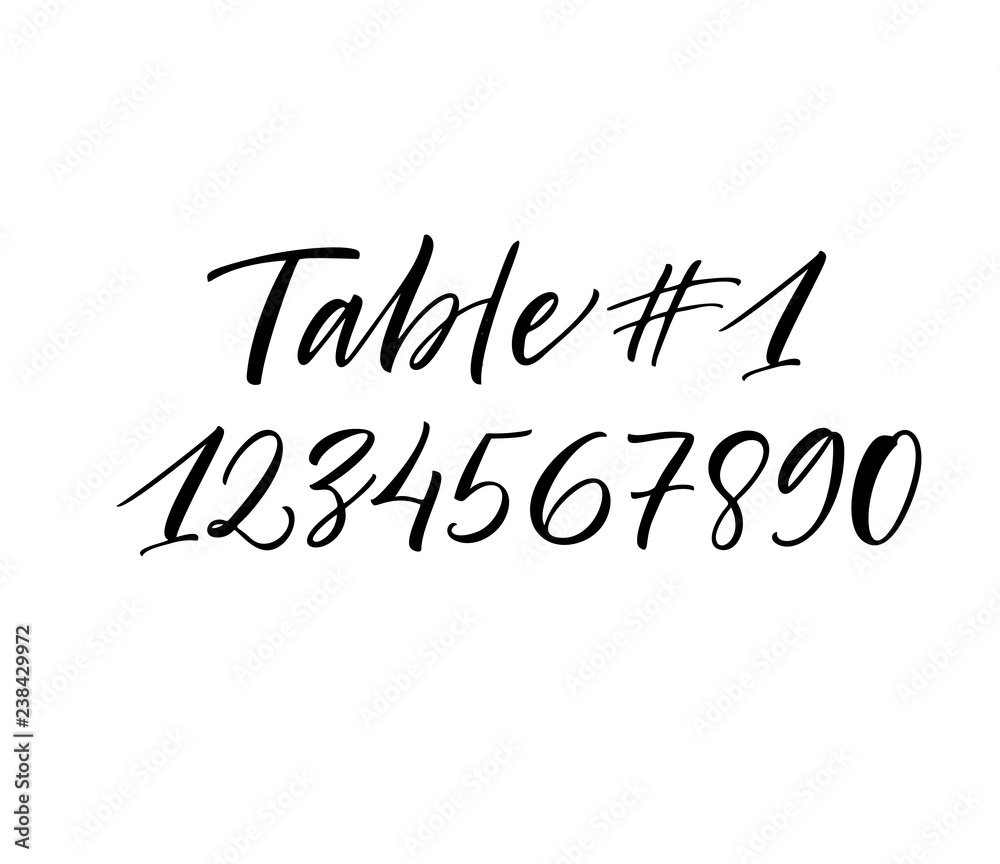 Numbering tables for the wedding. Hand drawn brush style modern ...