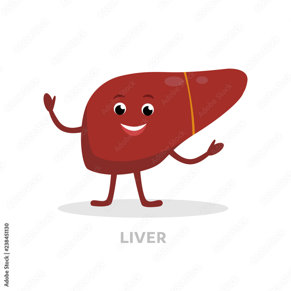 Strong healthy liver cartoon character isolated on white background ...