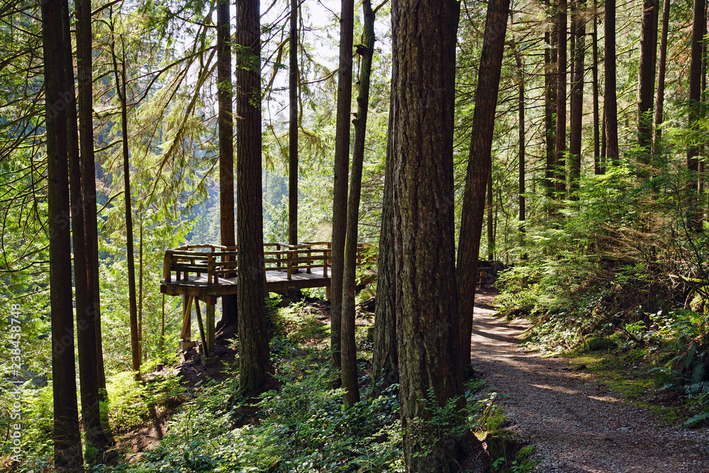Capilano Gorge Viewing Platform Off Capilano Pacific Trail Stock Photo ...