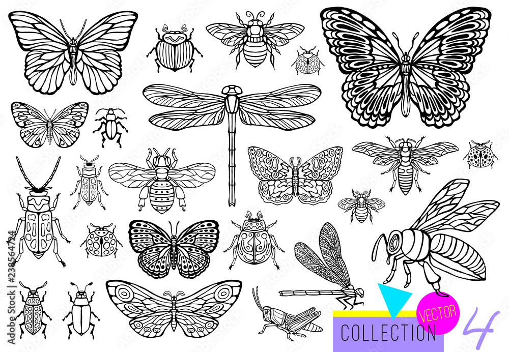 Big hand drawn line set of insects bugs, beetles, honey bees, butterfly ...